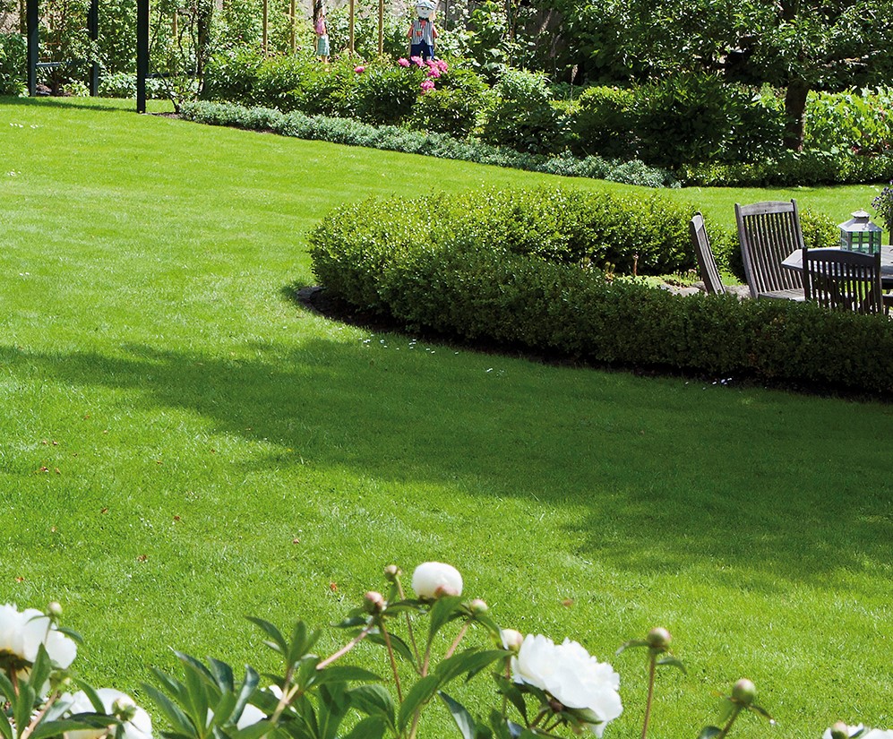 Hasselfors Garden acquires Algomin AB in Sweden - Kekkilä-BVB