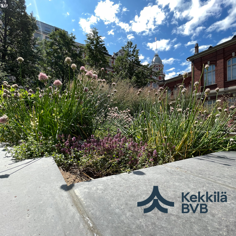 The Alusta Pavilion, a year later - Kekkilä-BVB