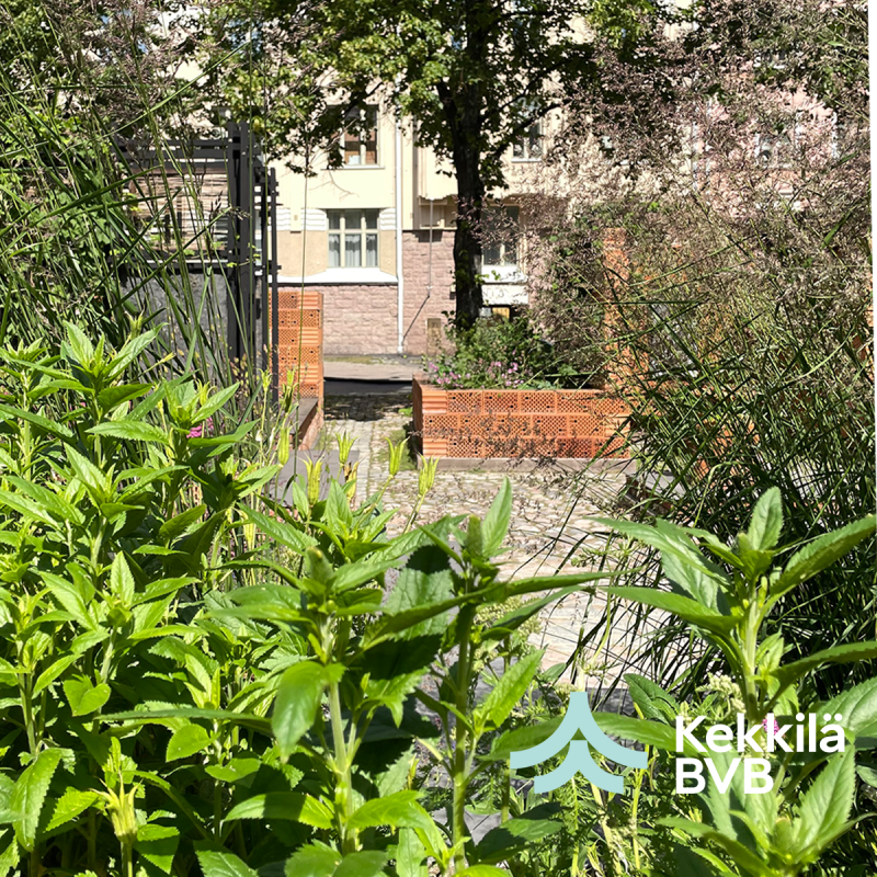 The Alusta Pavilion, a year later - Kekkilä-BVB