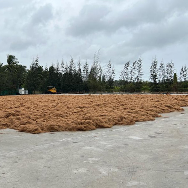 Responsibly Produced Coir: A key material for growing media - Kekkilä-BVB